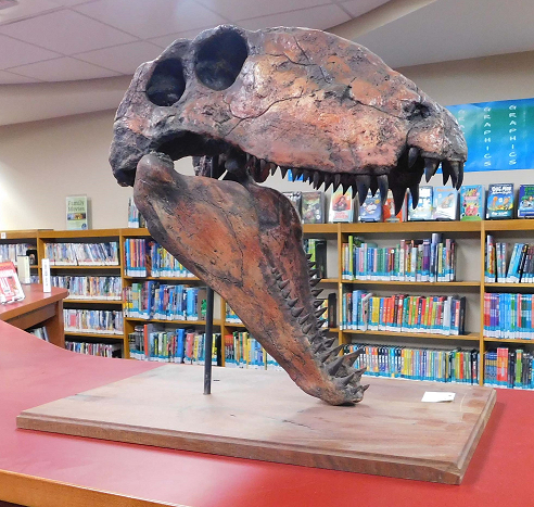 Dinosaur Discovery | Boyle County Public Library